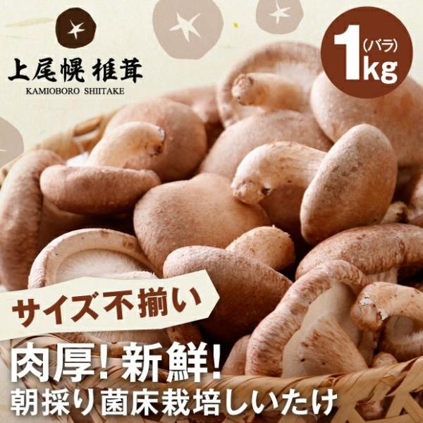 【商品内容】●菌床栽培しいたけ 1kg菌床しいたけの概念が変わるような素晴らしい品質のしいたけに出会いました。まずその歯ごたえの良さに驚きます！プリプリを超えて「サクサク」と言えるほどの気持ちの良い食感と濃厚な旨味で、まるでお肉を食べている...