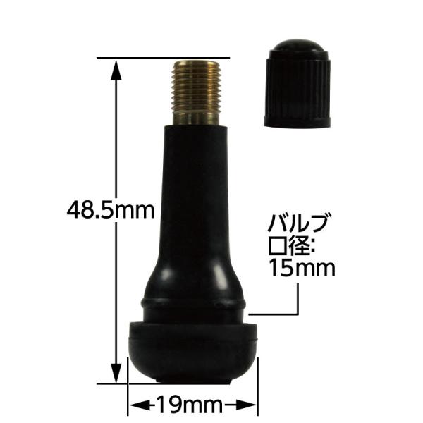 ※お取り寄せ商品出荷目安：3〜5営業日後出荷【仕様】●乗用車用●バルブ口径：19mm●全長：48.5mm●数量：100個