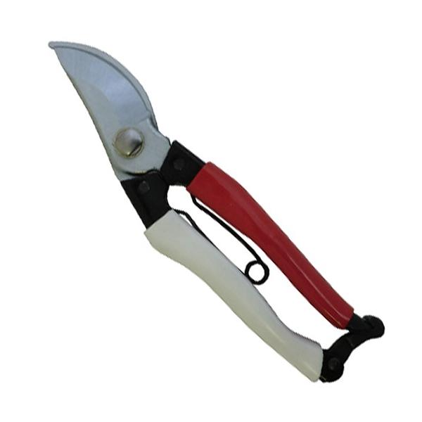 ■サイズ：200mm