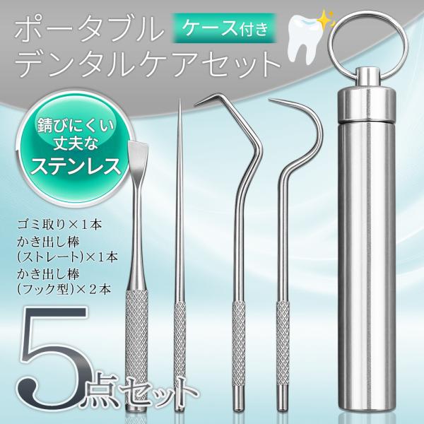 本格デンタルケアができるデンタルツールセット5点セット！サビにくく、丈夫なステンレス製！水洗いできるからお手入れ簡単。ブラッシング後の細部のケアや、子供の歯のチェックに。持ち運びに便利なケース付き。旅行・出張先・職場の更衣室や会社に常備して...