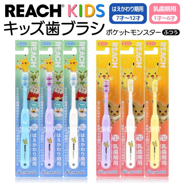 ポケモンと一緒に楽しく歯みがき！お子さまの歯の成長具合で選べる2種！REACH リーチポケモン歯ブラシ ふつう乳歯期用／はえかわり期用  歯医者さんが考えたことものための歯ブラシ。子供の歯ぐきにやさしい歯ブラシです。お子さまが握りやすいグリ...