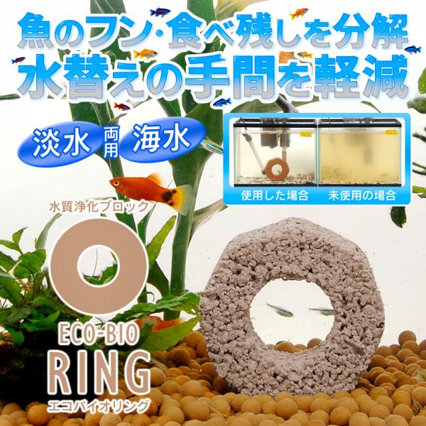 魚のフンやエサの食べ残しを分解し水替えの手間を約1年間にわたって軽減！大切な熱帯魚・観賞魚の水槽のお手入れ大変じゃないですか？このバイオブロックで日々の水交換・お掃除の煩わしさを解消！菌のチカラで水槽の水質管理をもっとラクに。アクアリウム・...