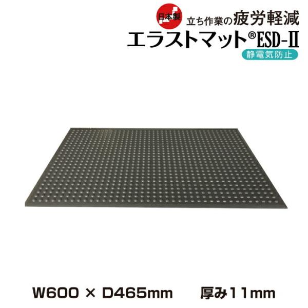 【代引不可】【送料無料】*北海道・沖縄・離島を除く｜返品種別B｜