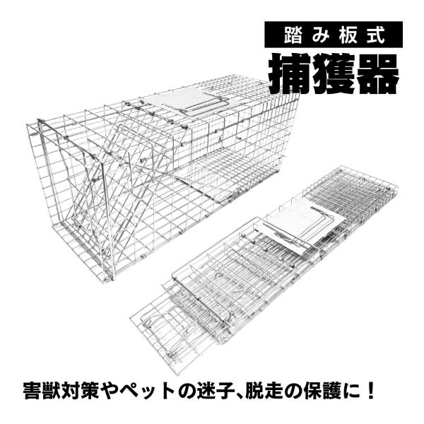 ■送料　【本州/四国/九州：無料】【北海道：600円】【沖縄：1540円】【※離島：別途見積もり】