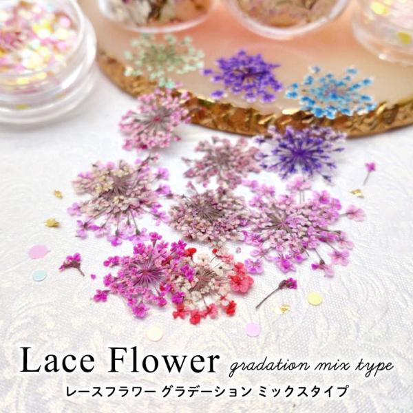 特徴色抜けしずらい新製法！グラデーションカラーが綺麗なレースフラワーです。ネイリストさんやハンドメイド作家さんおすみつきの押し花です。ネイルのワンポイントはもちろん、アクセサリー制作やレジン等の封入素材としても使えます◎四角ケースで袋に入れ...