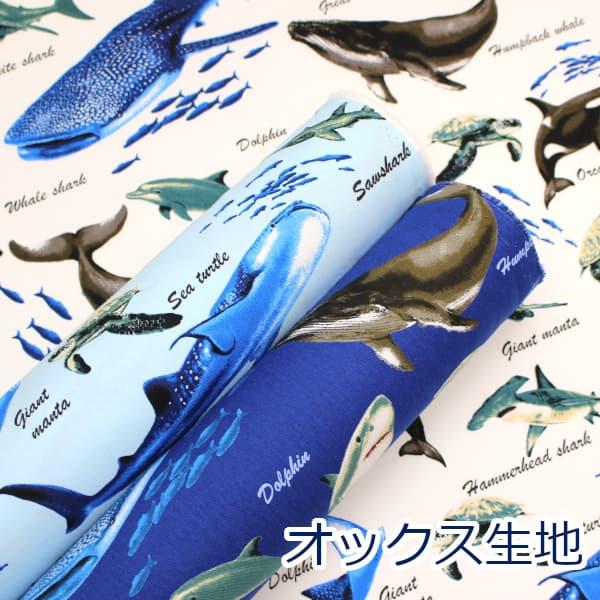 様々なサメが図鑑の様にプリントされた綿オックス生地です。クッションカバーやソファーカバーなどのインテリア用品の他、バッグやエプロン等にもおすすめです。魚柄はお子さまの通園、通学グッズにも人気です。【ゆうパケット・2ｍまで対応可能】表示価格は...
