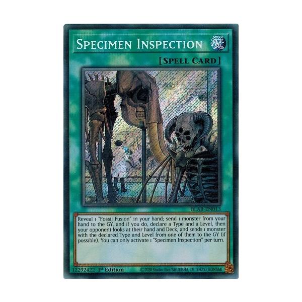 カード名:標本の閲覧/Specimen Inspection収録:Battles of Legend：Armageddon【EU版】品番:BLAR-EN013レアリティ:シークレットレア通常魔法このカード名のカードは１ターンに１枚しか発動で...