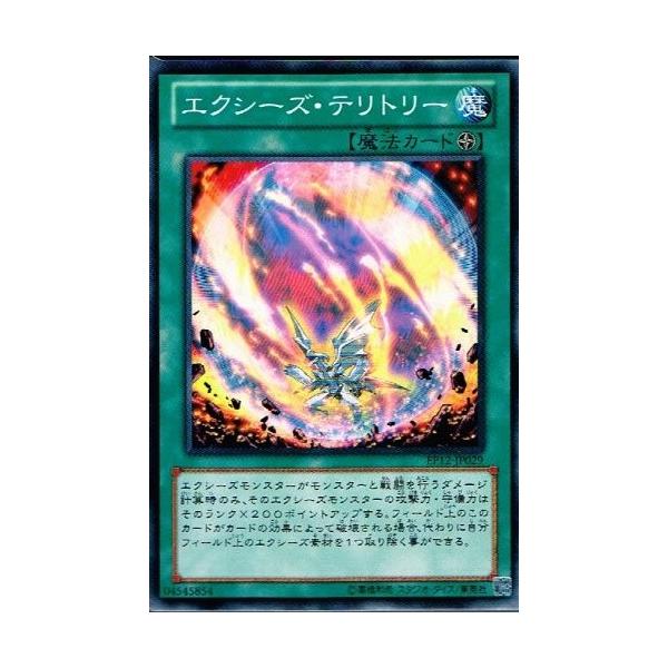 カード名:エクシーズ・テリトリー収録:エクストラパック 2012品番:EP12-JP029レアリティ:ノーマル