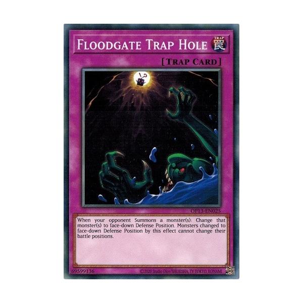 カード名:底なし落とし穴/Floodgate Trap Hole収録:OTS Tournament Pack 13品番:OP13-EN025レアリティ:ノーマル通常罠(1)：相手がモンスターの召喚・反転召喚・特殊召喚に成功した時に発動できる...