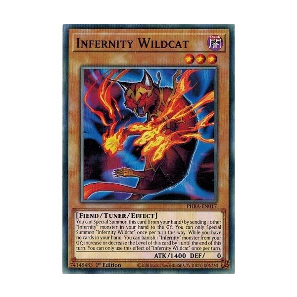 カード名:インフェルニティ・ワイルドキャット/Infernity Wildcat収録:ファントム・レイジ品番:PHRA-EN017レアリティ:ノーマルチューナー・効果モンスター星３/闇属性/悪魔族/攻1400/守   0このカード名の、(1...