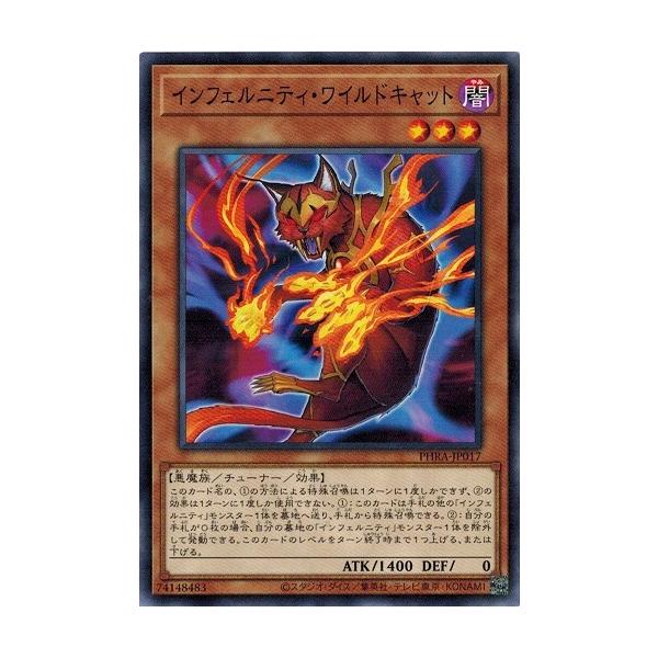 カード名:インフェルニティ・ワイルドキャット収録:ファントム・レイジ品番:PHRA-JP017レアリティ:ノーマルチューナー・効果モンスター星３/闇属性/悪魔族/攻1400/守   0このカード名の、(1)の方法による特殊召喚は１ターンに１...