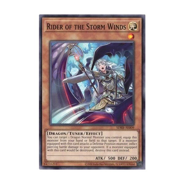 カード名:Rider of the Storm Winds/暴風竜の防人収録:Structure Deck: Rise of the Blue-Eyes品番:SDRB-AE009レアリティ:ノーマルチューナー（効果モンスター）星１/光属性/...