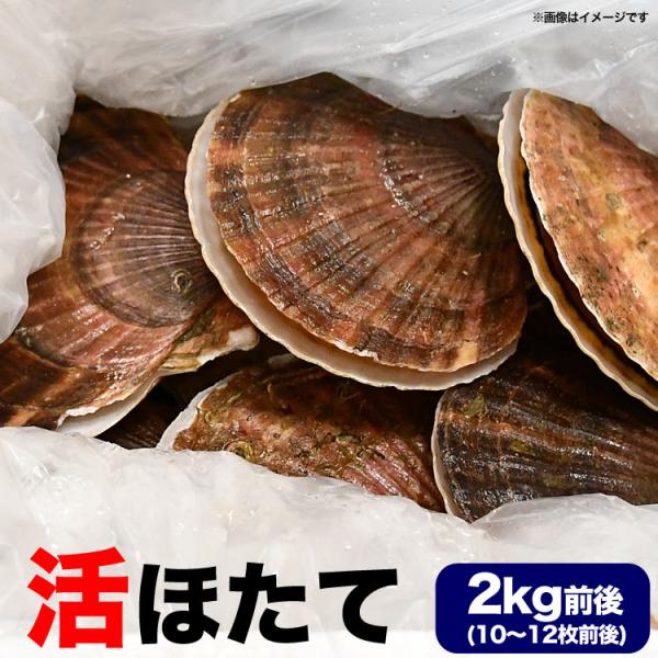 【発売日：2026年05月28日】長期不在受取り注意■品名活ほたて■原材料名ほたて(北海道)製造元次第で記載と変動する場合がございますので、商品ラベル記載をご確認ください。■内容量約2kg10枚前後〜12枚前後■賞味期限パッケージ記載■保存...