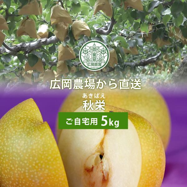 【発売日：2026年08月25日】肥沃な大地と絶好のロケーションに恵まれた名梨の果樹園「広岡農場」から、もぎたて新鮮な梨をお届け。広岡農場では、鳥取が誇る青梨の代表品種「二十世紀梨」をはじめ近年人気の「新甘泉」「秋栄」「あきづき」「王秋」を...