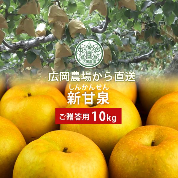 【発売日：2026年09月10日】肥沃な大地と絶好のロケーションに恵まれた名梨の果樹園「広岡農場」から、もぎたて新鮮な梨をお届け。広岡農場では、鳥取が誇る青梨の代表品種「二十世紀梨」をはじめ近年人気の「新甘泉」「秋栄」「あきづき」「王秋」を...