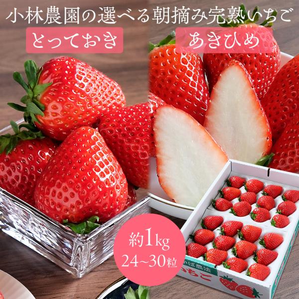 無農薬に限りなく近い有機栽培「わかば農法」で育てた朝摘み完熟いちごを鳥取・小林農園からお届け。贈り物にも最適な専用ギフトBOXをご用意。鳥取県のオリジナル新品種「とっておき」と「あきひめ」の2品種からお選びください。