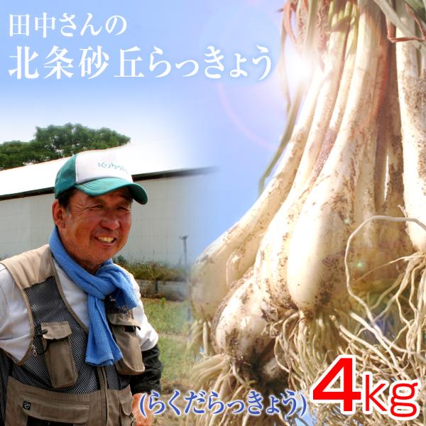【発売日：2023年05月25日】1カ月間の限定出荷！朝掘り新鮮、根付き土付き生ラッキョウを本場・鳥取から農家直送。ご自宅で漬けていただければパリパリシャキシャキ感の違いをすぐに実感できます。地元でも希少な減農薬・化成肥料不使用の特別栽培砂...