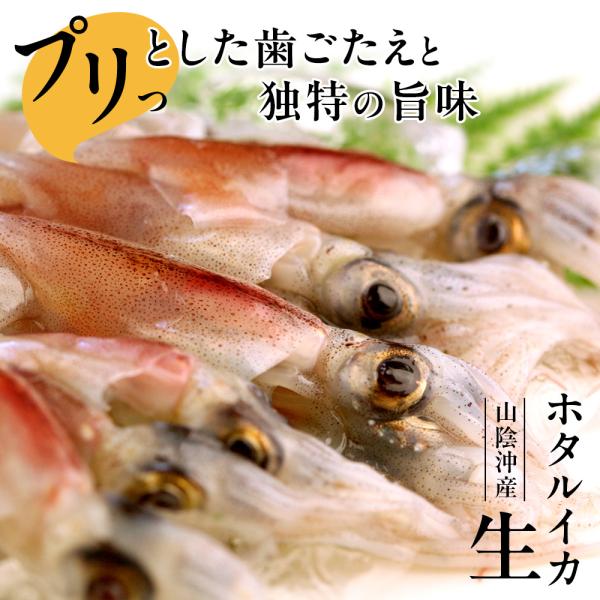 日本海の美味しい味覚、ホタルイカ。プリッとした歯ごたえと、お口の中いっぱいに広がる芳醇な香りは、海産物が豊富な山陰沖ならではの逸品。内蔵は旨味成分のひとつであるアミノ酸がたっぷりで甘味が強く、はらわたごと味わうと特に美味しいと評判です。　