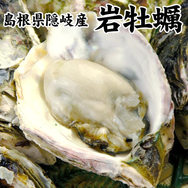 3月〜6月に旬を迎える隠岐産岩牡蠣は、全国の市場でも評価の高い逸品。ふっくらたっぷりの身は国内屈指の美味しさです。島根半島沖合いの美しい海で育てられ、超濃厚クリーミーで栄養満点、“海のミルク”と呼ばれるほど、良質のタンパク質やビタミン、ミネ...