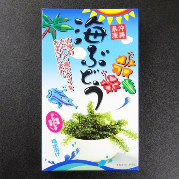 沖縄県産の「海ぶどう」の塩水漬けです。プチプチとした触感が特徴です。ビタミン、カルシウム、鉄分、食物繊維などの栄養素を豊富にを含んでいます。※常温便での発送となります。クール冷蔵便・冷凍便の商品と同梱できません。 [製造者]サングリーンフレ...