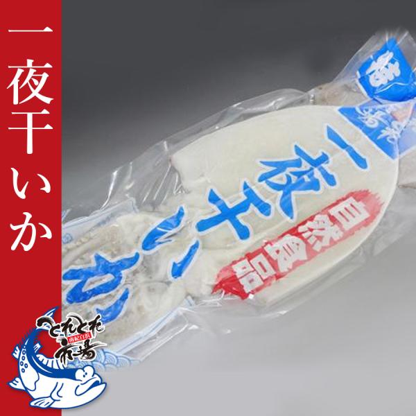 [加工地]北海道[内容量]1枚[販売者]堅田漁業協同組合(和歌山県西牟婁郡白浜町）[賞味期限]冷凍保存で約1ヶ月[保存方法]要冷凍（-18℃以下で保存）[原材料]するめいか（日本海海域）、塩[栄養成分表示100g当たり(推定値）]熱量：74...