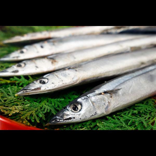 塩のきいた昔ながらの干物（丸干し）です。保存料・調味料等使用せず、塩だけで加工した無添加商品です。[販売者]堅田漁業協同組合（和歌山県白浜町）[原材料]さんま(北海道産)、食塩[賞味期限]冷凍保存で約1ヶ月、解凍後冷蔵保存で約4日[栄養成分...