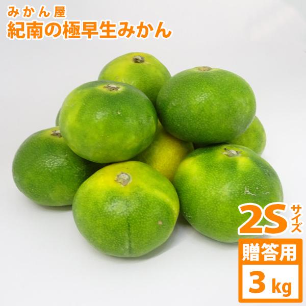 和歌山県の紀南地方で栽培されているシーズン最初に出荷される極早生温州みかんです。極早生みかんは、早い時期に出荷するので色はまだ青っぽく酸味も普通のみかんと比べて強いですが、身がしっかりしておりみずみずしくて味・香りともに楽しめるみかんです。...
