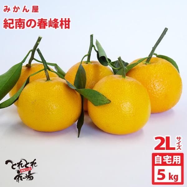 清見オレンジに水曜文旦をかけ合わせたあ和歌山県有田川町発祥のみかんです。手で剥いて、袋ごと食べられます。爽やかな香りとジューシーさが特徴のみかんです。※北海道・沖縄県へはお届けできません。お届け先が北海道・沖縄県の場合はご注文をキャンセルさ...