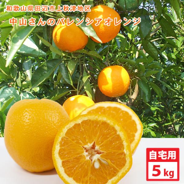 [産地・生産者]和歌山県田辺市中山敏久[内容]ご自宅用（多少傷のついた物が含まれています）[保存方法]直射日光を避け、涼しい所に保存して下さい※ワックス・防腐剤は使用していないため、お早めにお召し上がりください。[納期]ご注文いただいてから...