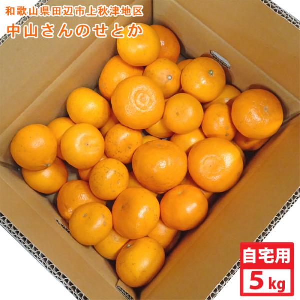 せとかは「清見」と「アンコール」をかけ合わせたものに、「マーコット」を交配したみかんです。2001年に品種登録さた比較的新しい品種で生産数が限られています。果皮が薄く傷つきやすいので、傷が無くて糖度が高い物は高級進物用として扱われています。...