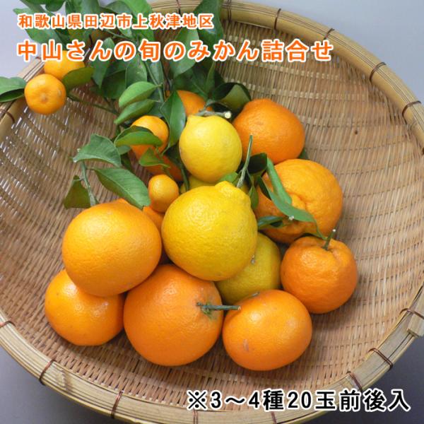 [産地・生産者]和歌山県田辺市中山敏久[内容]本品は、その時々で旬のおすすめみかんを生産者である中山さんが詰め合せたものです。その時々で内容が異なります。内容としましては、八朔・はるみ・不知火・ネーブル・清見・せとか・ポンカン・セミノール・...