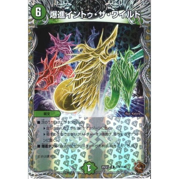 DM25-EX3-TF8/TF40レア■状態ランクは『A』です。わずかな傷・いたみがあるものも含みます。※状態ランクが『B』〜『C』の『キラカード』は商品名に『キズ』と表記し、区別して販売しています。■状態の見解には個人差がある為、状態ラン...