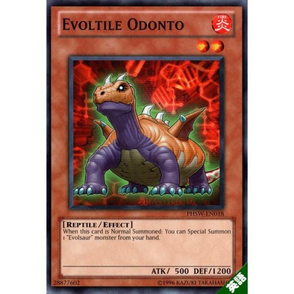 ■遊戯王(英語)■エヴォルド・オドケリス■Evoltile Odonto■PHSW-EN018/英語版/■28877602■ノーマル■効果モンスター■レベル２/炎属性/爬虫類族/攻500/守1200[ア行]エヴォルドオドケリス/えヴぉるどお...