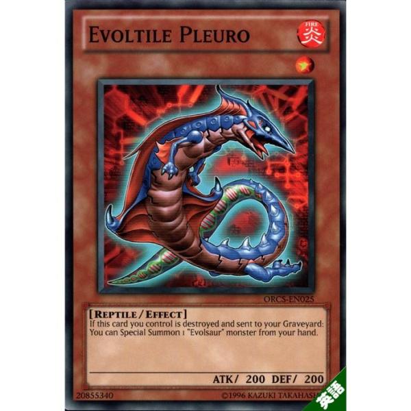 ■遊戯王(英語)■エヴォルド・プレウロス■Evoltile Pleuro■ORCS-EN025/英語版/■20855340■ノーマル■効果モンスター■レベル１/炎属性/爬虫類族/攻200/守200[ア行]エヴォルドプレウロス/えヴぉるどぷれ...