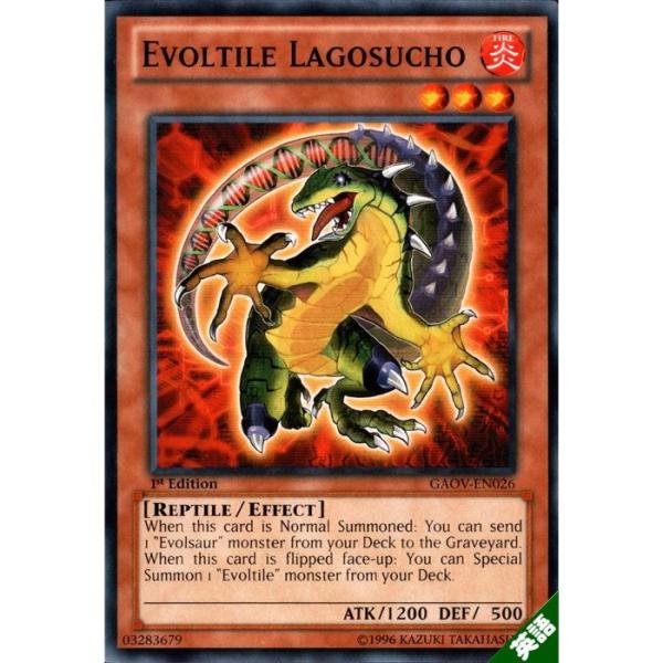 ■遊戯王(英語)■エヴォルド・ラゴスクス■Evoltile Lagosucho■GAOV-EN026/英語版/■03283679■ノーマル■効果モンスター■レベル３/炎属性/爬虫類族/攻1200/守500[ア行]エヴォルドラゴスクス/えヴぉ...