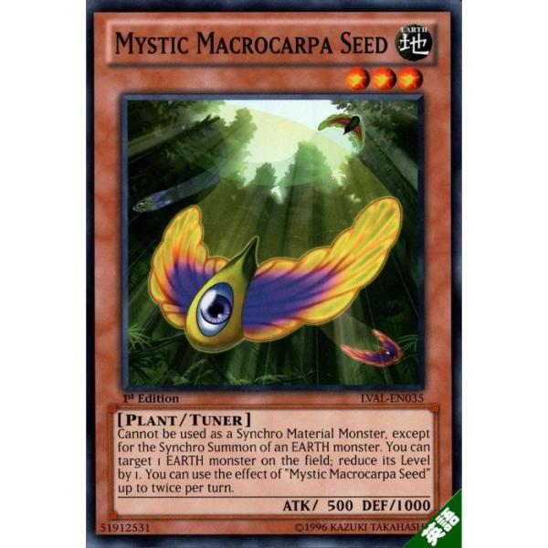 ■遊戯王(英語)■幻妖種ミトラ■Mystic Macrocarpa Seed■LVAL-EN035/英語版/■51912531■ノーマル■チューナー・効果モンスター■レベル３/地属性/植物族/攻500/守1000[カ行]ゲンヨウシュミトラ/...