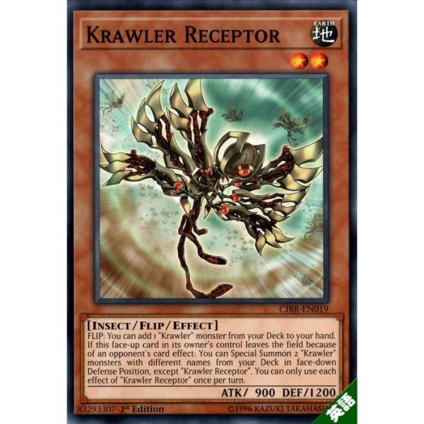 ■遊戯王(英語)■クローラー・レセプター■Krawler Receptor■CIBR-EN019/英語版/■83293307■ノーマル■リバース・効果モンスター■レベル２/地属性/昆虫族/攻900/守1200[カ行]クローラーレセプター/く...