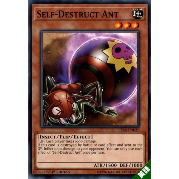 ■遊戯王(英語)■アリジバク■Self-Destruct Ant■CIBR-EN035/英語版/■06783559■ノーマル■リバース・効果モンスター■レベル３/地属性/昆虫族/攻1500/守1000[ア行]アリジバク/ありじばく■状態ラン...