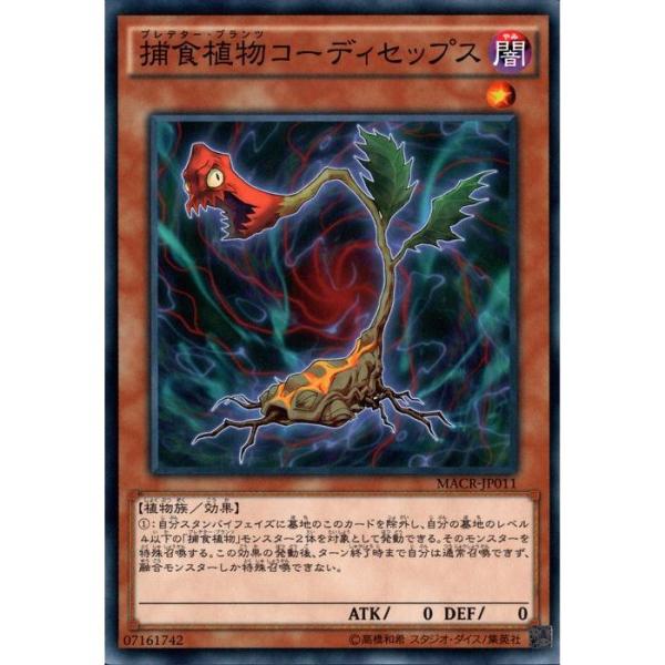 ■遊戯王■捕食植物コーディセップス■Predaplant Cordyceps■MACR-JP011■07161742■ノーマル■効果モンスター■レベル１/闇属性/植物族/攻0/守0[ハ行]プレデタープランツコーディセップス/ぷれでたーぷらん...