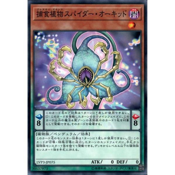 ■遊戯王■捕食植物スパイダー・オーキッド■Predaplant Spider Orchid■LVP3-JP075■30537973■ノーマル■ペンデュラム・効果モンスター■レベル１/闇属性/植物族/攻0/守0[ハ行]プレデタープランツスパイ...
