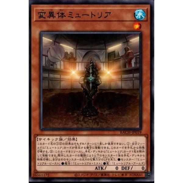BACH-JP019