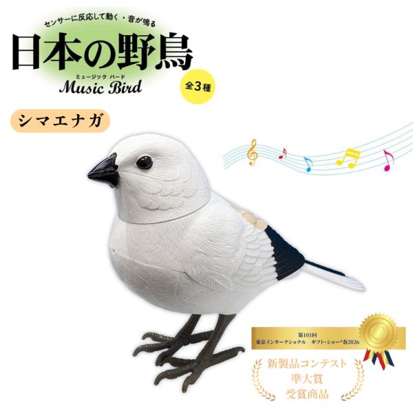 【発売日：2026年04月10日】まるでフィギュアのような精巧な造形が話題の「日本の野鳥 music bird」シリーズ。人感センサーが人の動きを感知すると、首を振りながらさえずりや歌をうたいます。日本の野鳥・シマエナガをリアルに再現したイ...