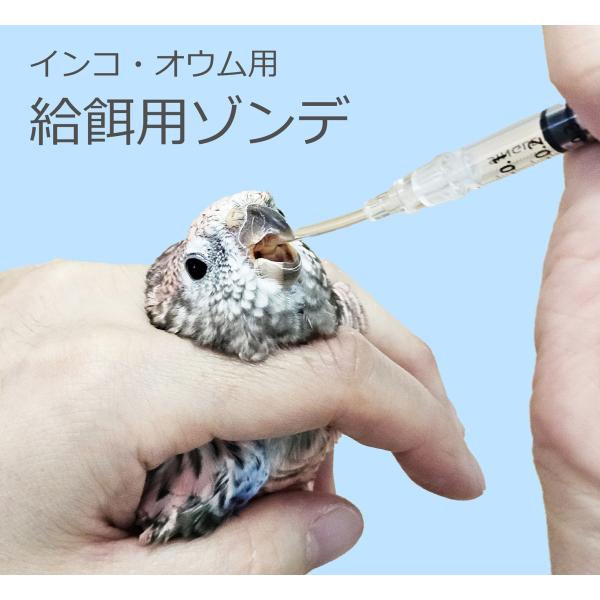 鳥類、小動物用　シリコン製　経口ゾンデ　2本セットヒナ鳥、病弱鳥への強制給餌用として使えるシリコン製ゾンデ（チューブ）主にジュウシマツ、キンカチョウ、ブンチョウ、セキセイインコ、オカメインコ、ウロコインコ、ボタンインコ、コザクラインコ、ナナ...