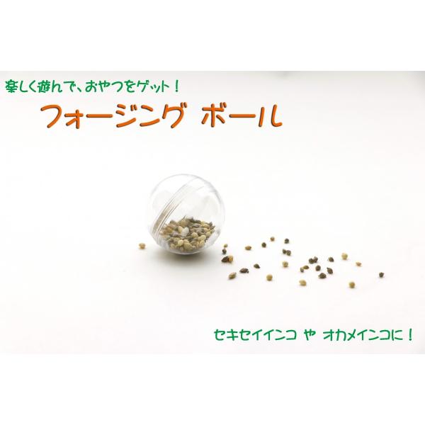 ボールをコロコロと転がして、おやつをゲット！はじめてのフォージングにぴったり！フォージングボールあわ、ひえ、きび、カナリーシードなどをいれて、転がすだけ転がすと少しずつ、おやつが出てくる！１日の大半を餌探しで過ごす野鳥と違い、飼育鳥は「暇」...