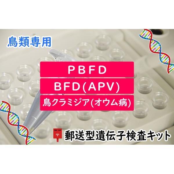 本検査キットはペットショップ、ブリーダー、多羽飼育一般家庭向けです1回の検査で1羽〜最大18羽までの検査が可能ですお届けする保存ボトルに1羽あたりお米1粒分の糞を入れて下さい最大18羽分まで検査精度は変わりません検査は一括で行うため、陽性だ...