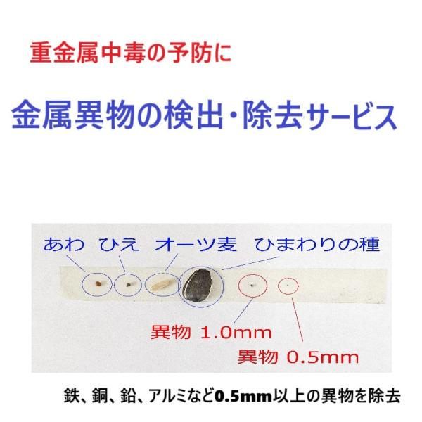 当店でお買い上げいただいたシード、ペレットなどのフードを対象とした金属異物除去サービスです本商品と一緒に除去希望する商品をカートへ追加してまとめてご注文下さい1会計まとめてのサービス適用です（何商品でも500円でチェック可能）ペットフードメ...