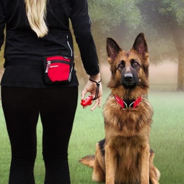 イージードッグ コマンドクリッカー 犬しつけ 犬トレーニング●愛犬のしつけにクリッカー●お座り、伏せ、待て、放せなどの基本トレーニングに最適●エルゴノミックデザインの握りやすいトレーニングクリッカー●サイズ たて：6.5ｃｍ　よこ：3ｃｍ　...