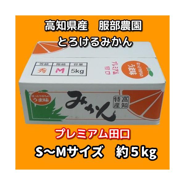 高知県産 服部農園のとろけるみかん プレミアム田口 Mサイズ 約5kg服部農園さんが自信をもって生産しているみかんです。みかんの木の下に白いシート（透湿性で地中の水分を外に苦し雨を遮断する）を敷いて水分コントロールをしながら育てることで果実...