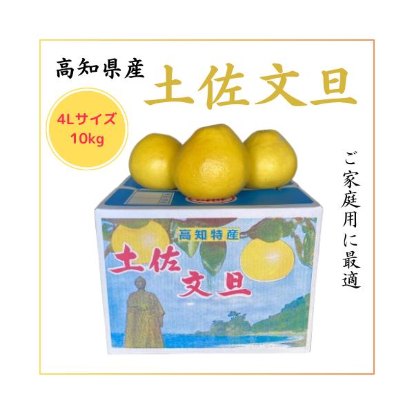 【ご家庭用に最適】高知県産 土佐文旦 ぶんたん マル善 秀 大玉 ４Ｌサイズ 約10kg南国の味覚 土佐文旦です。「土佐文旦」とは…ザボンと同じ仲間で高知県の特産です。寒さや乾燥に弱いため、高知県でも限られた地域でしか生産できません。さわや...