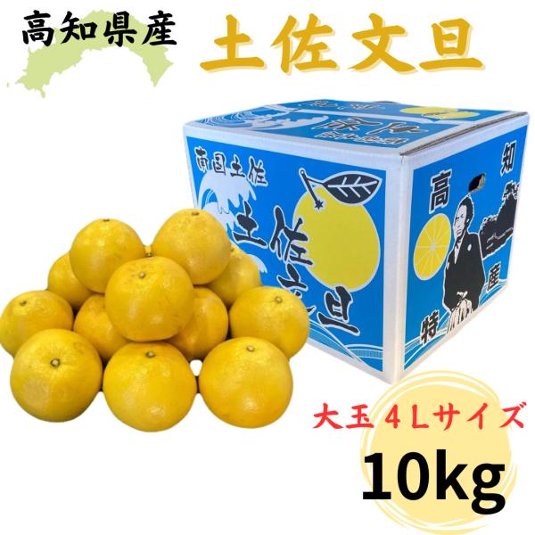 【ご贈答用・ご家庭用】高知県特産 土佐文旦 (ぶんたん) 高知家 無字   大玉４Lサイズ(約13玉〜14玉) 約10kg 南国の味覚 土佐文旦です。「土佐文旦」とは…ザボンと同じ仲間で高知県の特産です。寒さや乾燥に弱いため、高知県でも限ら...